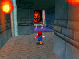 File:SM64DS Castle Basement.png - Super Mario Wiki, the Mario encyclopedia