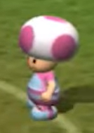 File:SuperMarioStrikers-ToadPeachTeam.png - Super Mario Wiki, the Mario ...