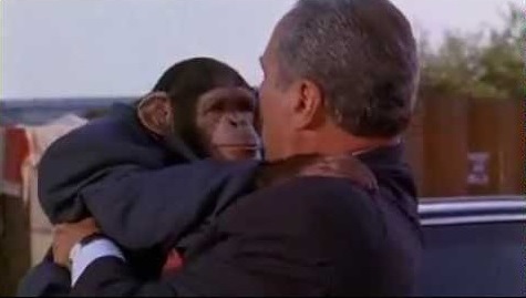 File:Scapelli Chimp.jpg - Super Mario Wiki, the Mario encyclopedia