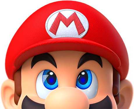 File:My Nintendo Mario's Head.png - Super Mario Wiki, the Mario ...