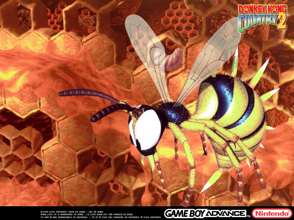 File:DKC2 GBA wallpaper 2.jpg - Super Mario Wiki, the Mario encyclopedia