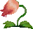Bulb Bush - Super Mario Wiki, the Mario encyclopedia