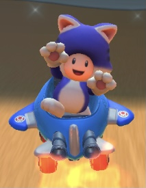 File:MKT Cat Toad Trick.png - Super Mario Wiki, the Mario encyclopedia