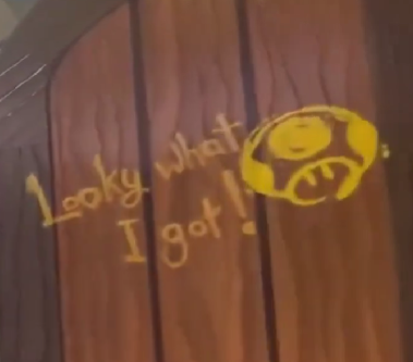 File:BJMessageSNW.png - Super Mario Wiki, the Mario encyclopedia