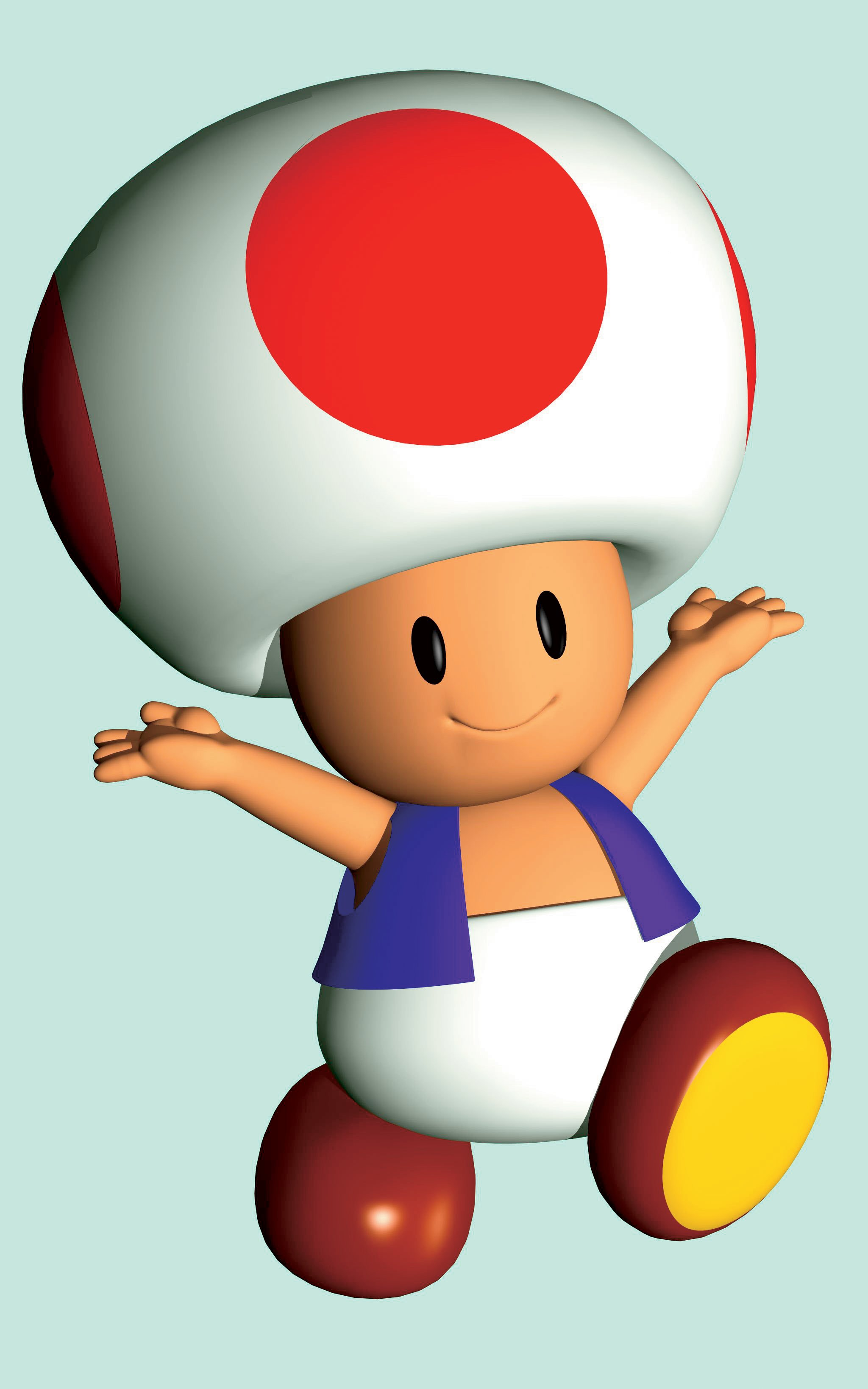File:SM64 Toad hands raised.png - Super Mario Wiki, the Mario encyclopedia