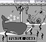 Turtle Zone - Super Mario Wiki, the Mario encyclopedia