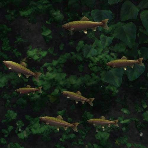 File:SMO Environmental Fish Wooded.png - Super Mario Wiki, the Mario ...