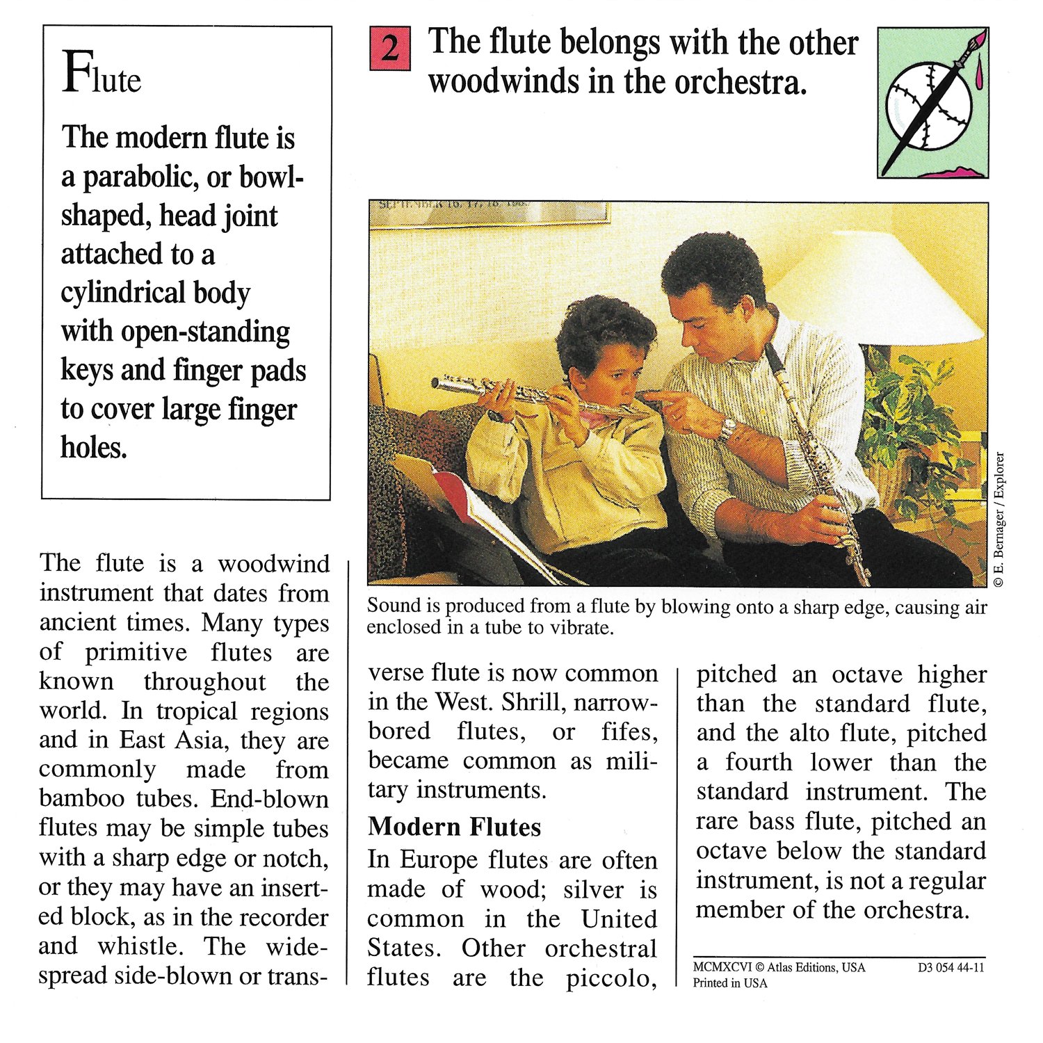 File:Flute quiz card back.jpg - Super Mario Wiki, the Mario encyclopedia