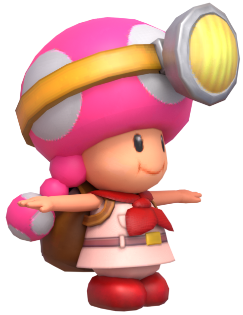 File:MKTToadetteExplorerModel.png - Super Mario Wiki, the Mario ...