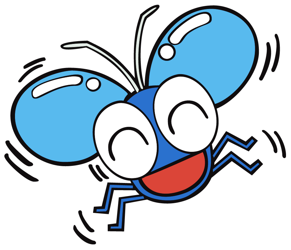 Fighter Fly - Super Mario Wiki, the Mario encyclopedia