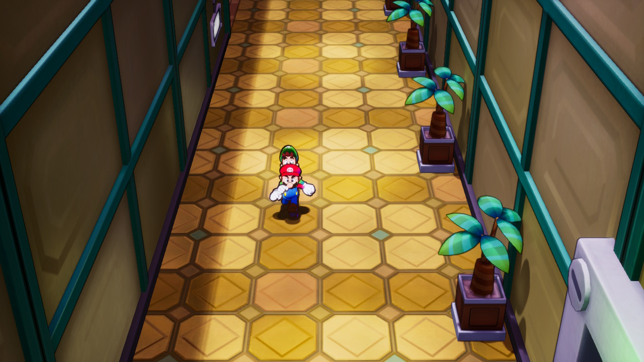 File:Potted-Plant Brothership.jpg - Super Mario Wiki, the Mario ...