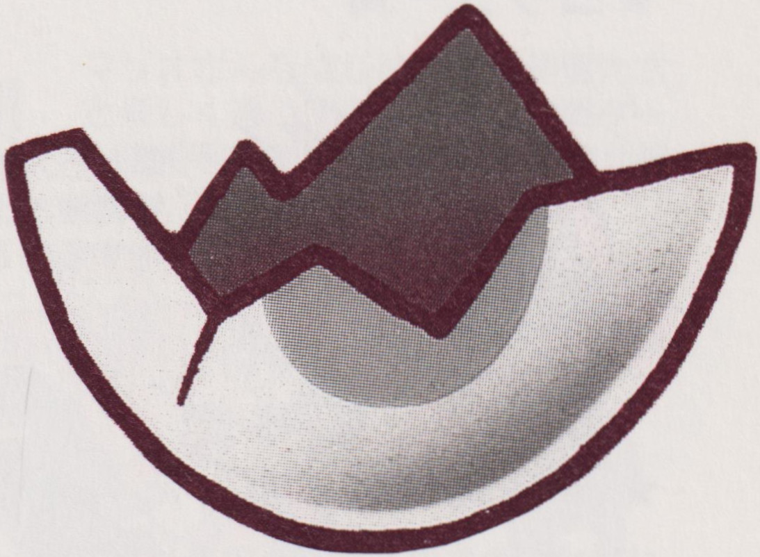 File:Yoshi-Egg Shell Bottom.jpg - Super Mario Wiki, the Mario encyclopedia