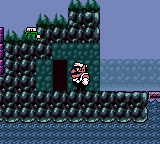 File:WL3 S BankOfTheWildRiver MC4 Loc.png - Super Mario Wiki, the Mario ...