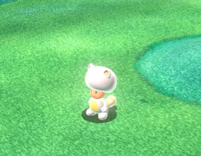 File:InvincibleLeafToadSM3DW.jpg - Super Mario Wiki, the Mario encyclopedia