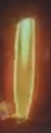 File:MKWorld Burner.png - Super Mario Wiki, the Mario encyclopedia