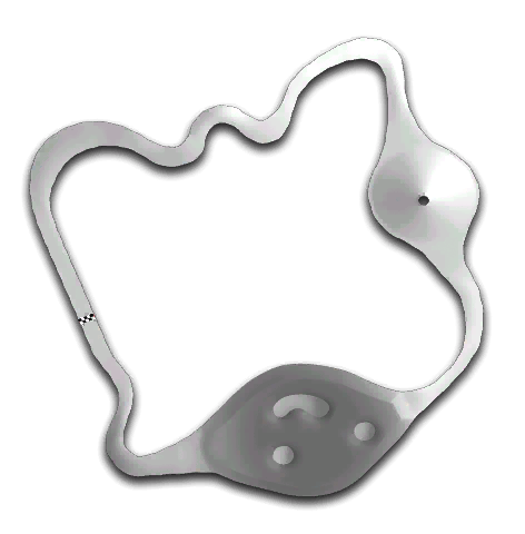 File:MK8DX GCN Dry Dry Desert Map.png - Super Mario Wiki, the Mario ...