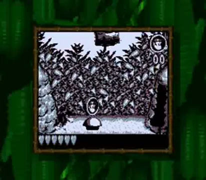 File:Kong Token BA DKL.png - Super Mario Wiki, the Mario encyclopedia