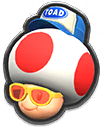 File:MKT Icon ToadTourist.png - Super Mario Wiki, the Mario encyclopedia