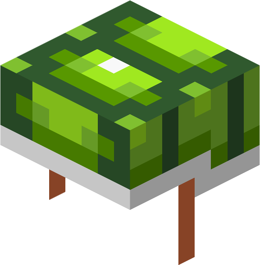 File:Minecraft Mario Mash-Up Turtle Shell Render.png - Super Mario Wiki ...