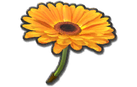 Flower Glider - Super Mario Wiki, the Mario encyclopedia