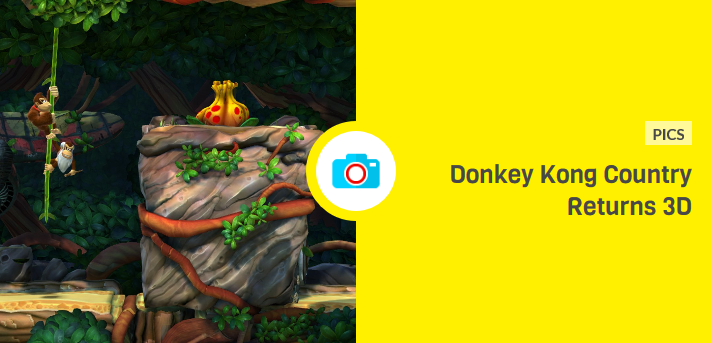File:DKCR3D Screenshots icon.png - Super Mario Wiki, the Mario encyclopedia