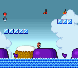 Whale - Super Mario Wiki, the Mario encyclopedia