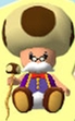 Gallery:Toadsworth - Super Mario Wiki, the Mario encyclopedia