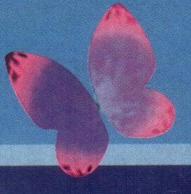 File:ButterflySM64DS2.jpg - Super Mario Wiki, the Mario encyclopedia