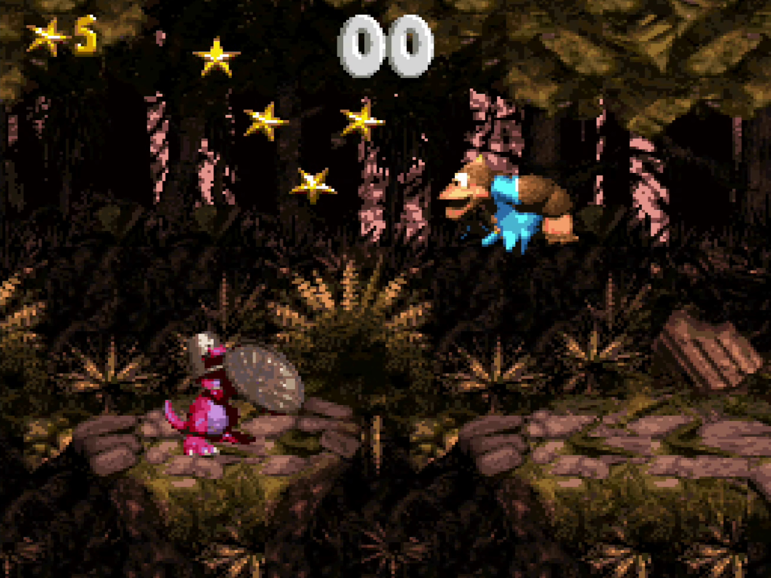 File:NM DKC3 Bonus Lose.jpg - Super Mario Wiki, the Mario encyclopedia