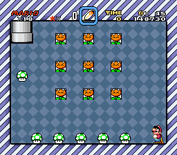File:BonusGame.png - Super Mario Wiki, the Mario encyclopedia