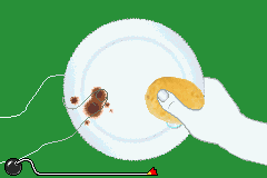 Dishpan Hands - Super Mario Wiki, the Mario encyclopedia