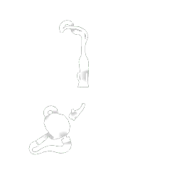 File:MK7 Wii Maple Treeway Minimap.png - Super Mario Wiki, the Mario ...