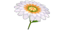File:MK7Flower Glider.png - Super Mario Wiki, the Mario encyclopedia
