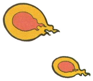 File:SML2 Artwork - Faia.png - Super Mario Wiki, the Mario encyclopedia