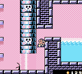 Tiny Wario - Super Mario Wiki, the Mario encyclopedia