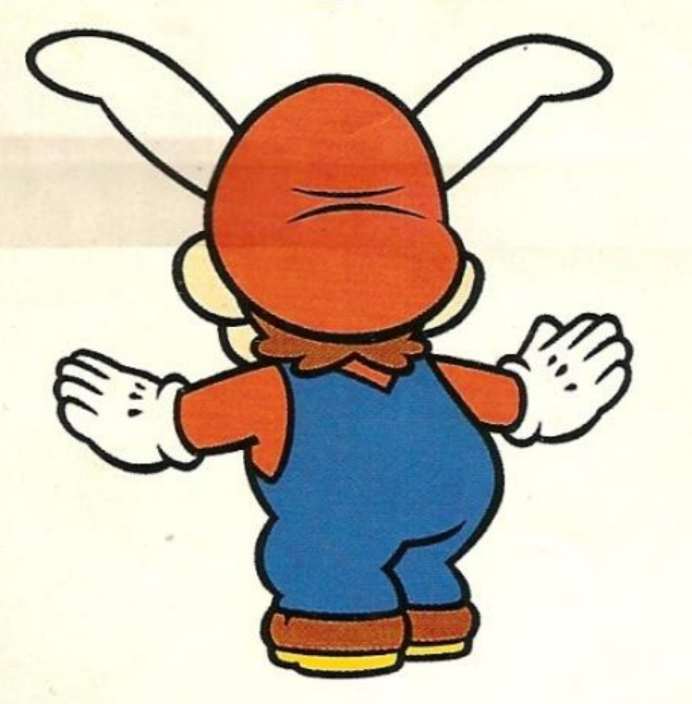 File:SML2 Back View Rabbit Mario.png - Super Mario Wiki, the Mario ...