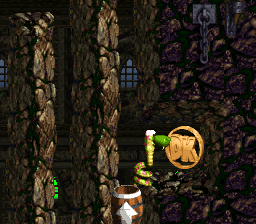 File:Toxic Tower DKC2 DK Coin.png - Super Mario Wiki, the Mario ...