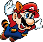Fly - Super Mario Wiki, the Mario encyclopedia