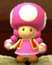 List of Toadette profiles and statistics - Super Mario Wiki, the Mario ...
