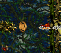 Category:Donkey Kong Country 2: Diddy's Kong Quest Images - Super Mario ...