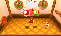 Toad House - Super Mario Wiki, the Mario encyclopedia