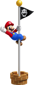 Goal Pole - Super Mario Wiki, the Mario encyclopedia