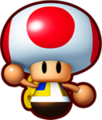 Mini Toad - Super Mario Wiki, the Mario encyclopedia