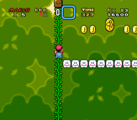 Beanstalk - Super Mario Wiki, the Mario encyclopedia