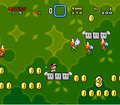 Forest of Illusion - Super Mario Wiki, the Mario encyclopedia