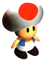 Toad (species) - Super Mario Wiki, the Mario encyclopedia