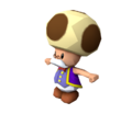Gallery:Toadsworth - Super Mario Wiki, the Mario encyclopedia