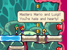 Toadsworth - Super Mario Wiki, the Mario encyclopedia