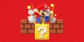 Gallery:? Block - Super Mario Wiki, the Mario encyclopedia