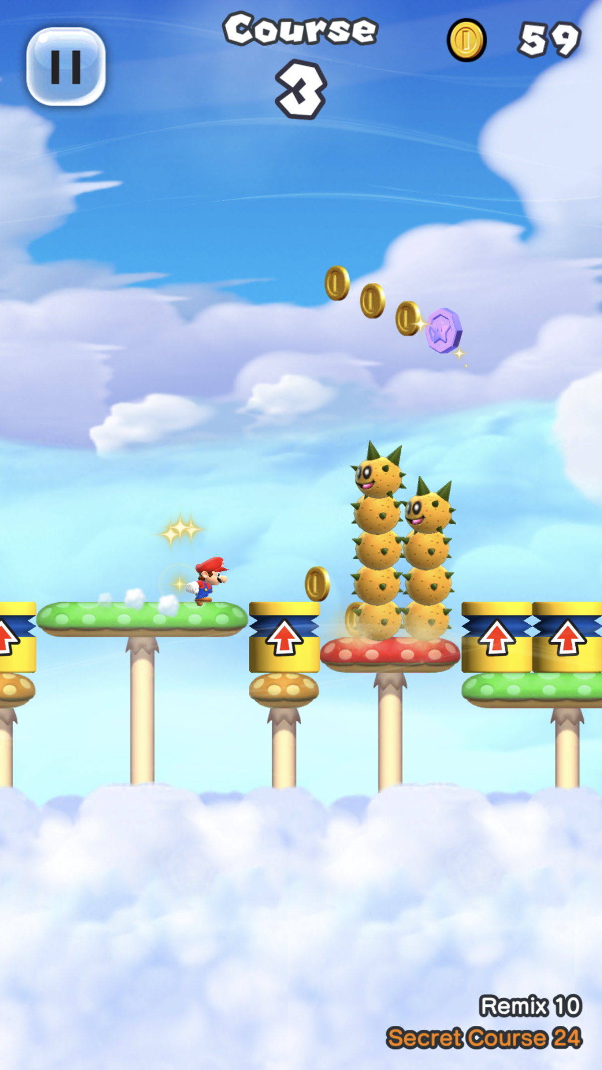 Secret Course 24 - Super Mario Wiki, the Mario encyclopedia